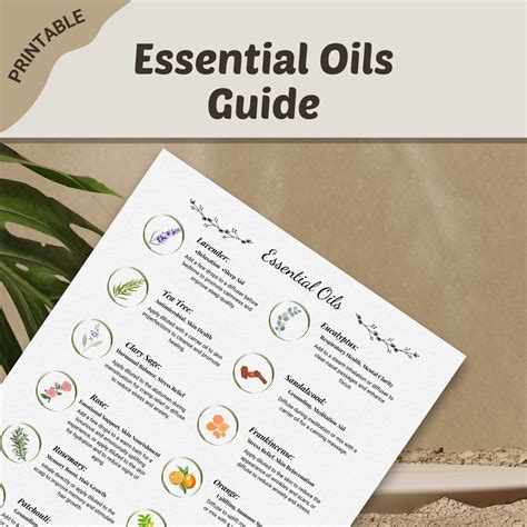 Essential Oil Guide Aromatherapy Chart Printable Etsy