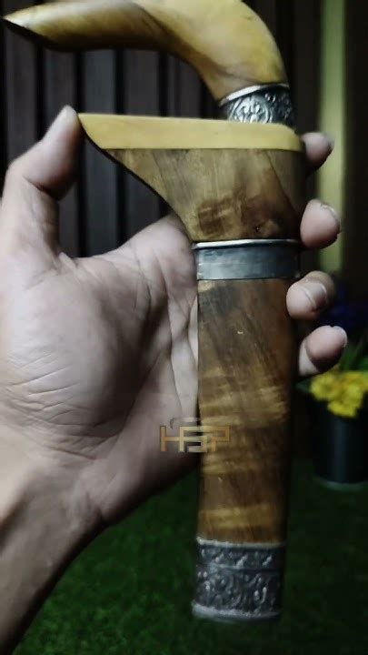 Black Malela 17cm Macassar Youtube