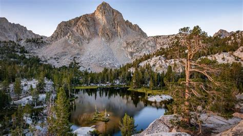 Inyo National Forest Backiee