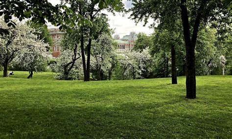 Comment Réparer La Voie Ferrée De Thomas Train Conseils De Dépannage