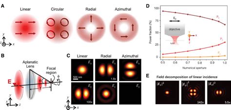 Field Intensity Distributions In The Focal Plane Of A Microscope