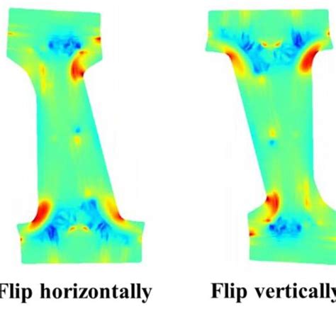 Data Augmentation By Flipping The Thinning Fields Plotted On The