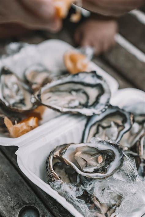 Kororareka Oysters Riparide