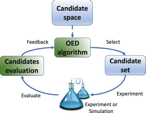 1 Optimal Experimental Design Oed Algorithm Process For A