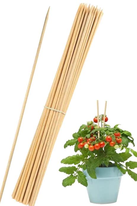 Tyczki Podpory Do Pomidorów 150 Cm 180 Cm 200 Cm 210 Cm