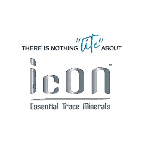 Sonic Essentials S On Giphy Be Animated