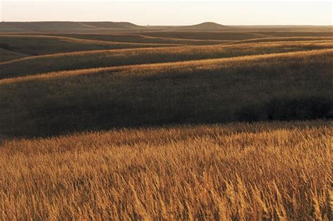 The Great American Prairie Landscape Mkec