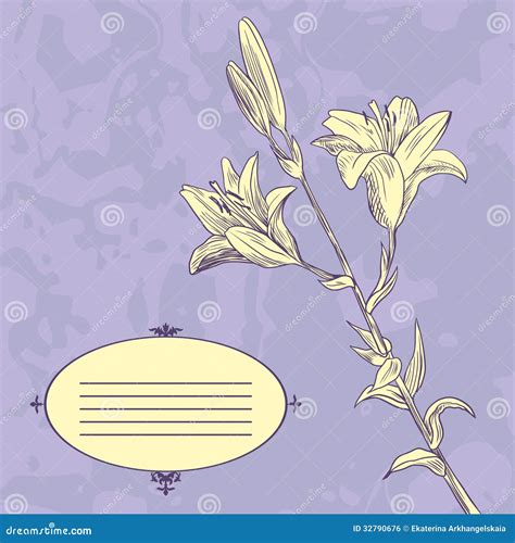 Lily On Vintage Background With Label Stock Vector Illustration Of