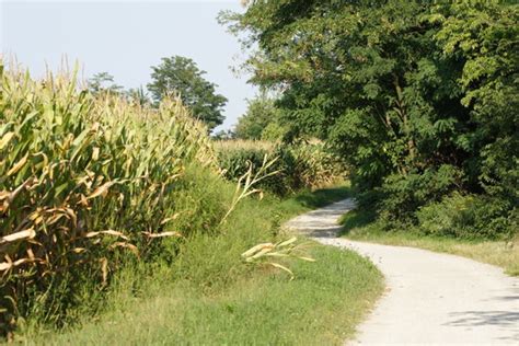 รูปภาพgroaning เลือกดูภาพถ่ายสต็อก เวกเตอร์ และวิดีโอ664 Adobe Stock