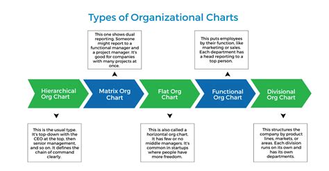 Organizational Chart Definition Examples Purpose And Types