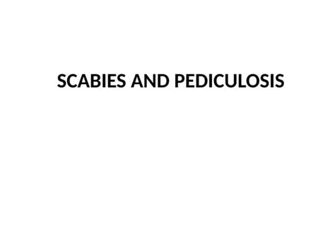 Scabies Pptx
