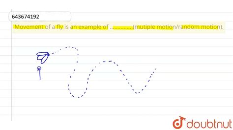 Random Motion Examples