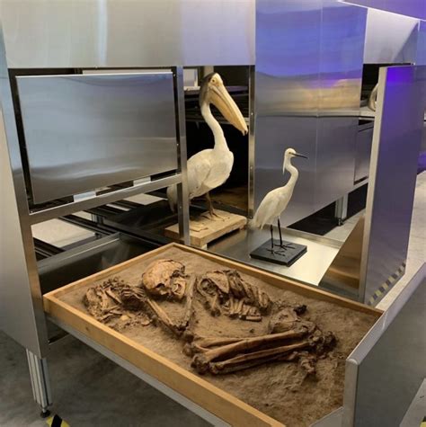 Multi Species Architecture Takes Central Stage At Venice Biennale 2021