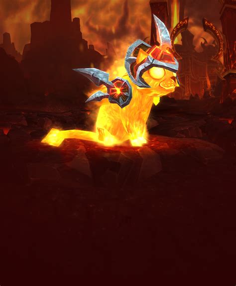 Cinder Kitten World Of Warcraft