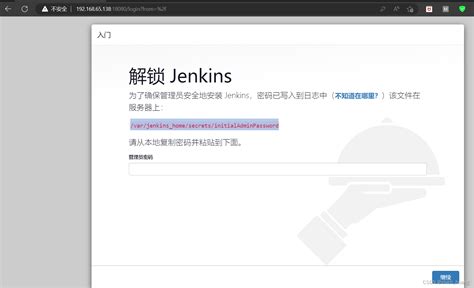 Jenkins容器化部署 Csdn博客
