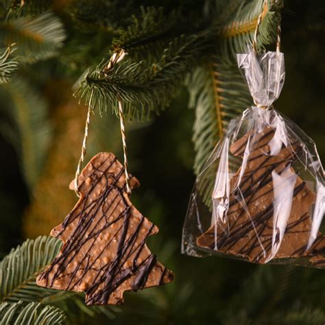 Hanging Chocolate Christmas Tree Decorations Pack Of 5 Assorted Flavours Only £25 00