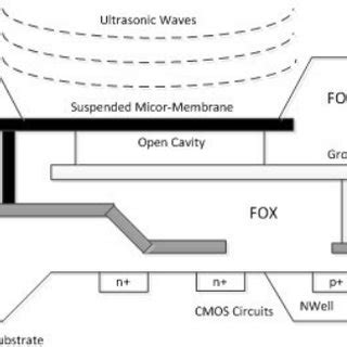 MEMS Microphone Structure Two Machine Learning Download Scientific Diagram