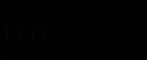 An Example Of A Temporary Chromosome Download Scientific Diagram