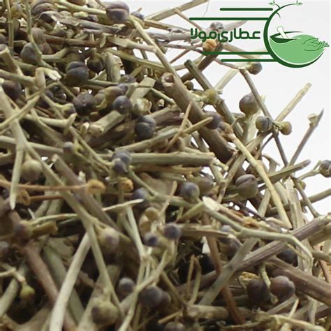 عطاری مولا فروشگاه آنلاین گیاهان دارویی