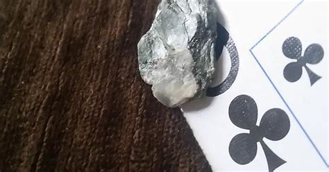 This Looks Like A Piece Of Fossilized Shell It Has A Small White