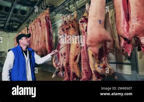 Meat Processing Factory Food Production Facility Plant Specialist Is Relocating Dressed Beef Meat Processing Factory Food Production Facility Plant Specialist Is Relocating Dressed Beef
