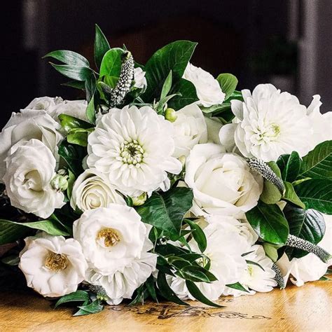 Die Amazon Seite Von Doppel Mama