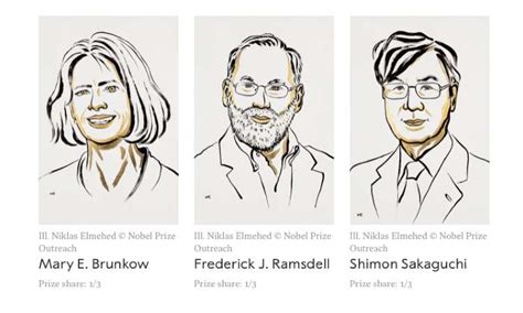 Nobel Prize Awarded For Regulatory T Cells Discovery Drug Discovery