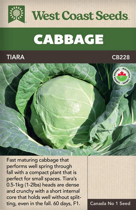Organic Cabbage Tiara West Coast Seeds Wildwood Outdoor Living