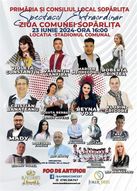 Roberta Crintea Violeta Constantin Olguța Berbec și Remus Novac Valentin Sanfira și Marian