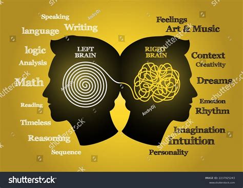Right Brain Vs Left Brain Art The Left Brain Right Brain Myth Be