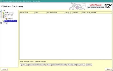 netsoftmate technical blog configure acfs on exadata running oracle