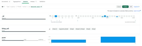 Mongodb Compass Schema Nedir Ve Ne İşe Yarar