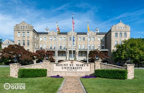 2024 Best Online Computer Forensics Degree Programs Bachelors Guide