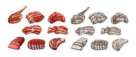손으로 그린 컬러 및 단색 고기 조각 쇠고기 스테이크 햄 돼지 고기 스케치 세트 신선한 육류 제품 메뉴 정육점의 디자인에 빈티지 인그레이빙 갈비 음식에 대한 스톡 벡터 아트