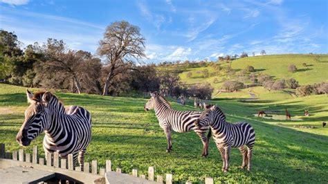A 137 Acre California Preserve Hits The Market For 51 Million