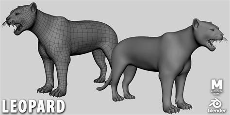 Leopard Topology Uv Map Superhive Formerly Blender Market