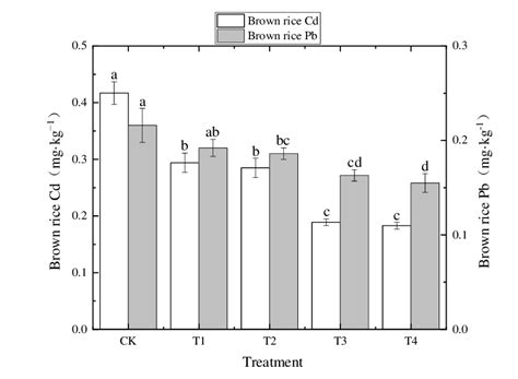 Effect Of Foliar Zn Application On Cd And Pb Concentration In Brown Download Scientific Diagram