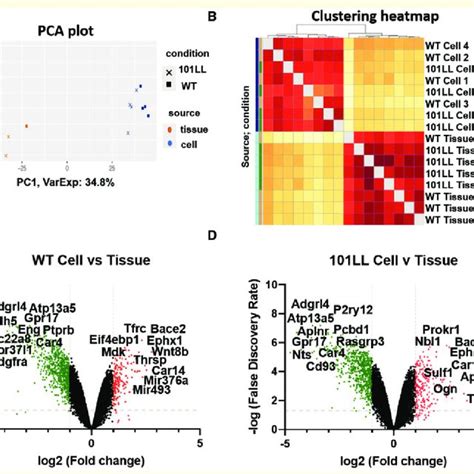 Microarray Analysis Highlighting Transcriptomic Profile Differences