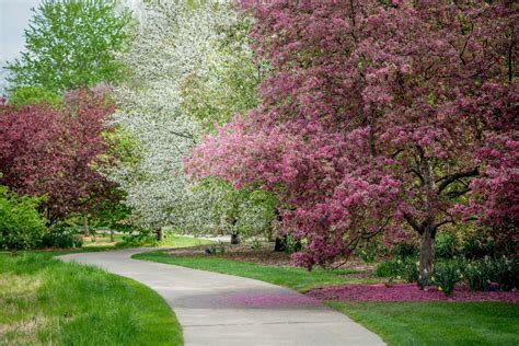 Spring Flowering Walk Lauritzen Gardens