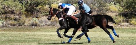 About Van Dickson Ranch Established 1907