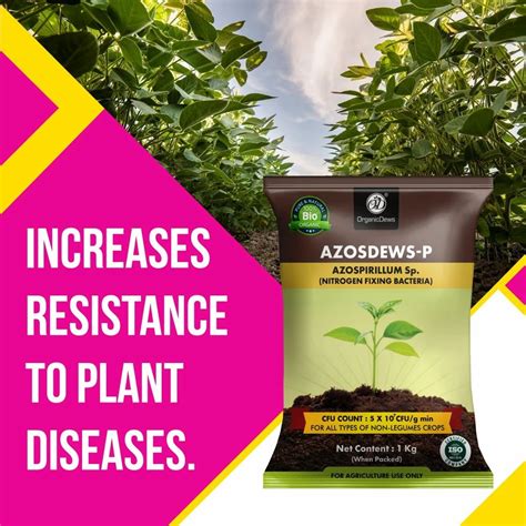 Organicdews Azospirillum Bio Fertilizer Powder Nitrogen Fixing