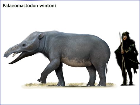Palaeomastodon Wintoni By Cisiopurple On Deviantart