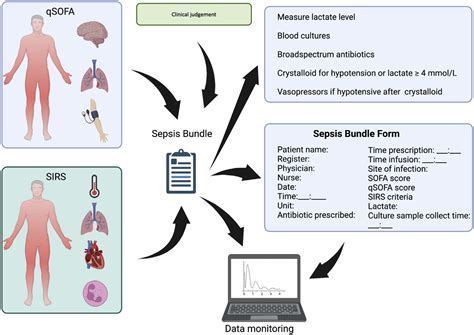 Sepsis Death Risk Factor Score Based On Systemic Inflammatory Response