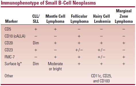 Chronic Lymphocytic Leukemia Cll Drs Diary