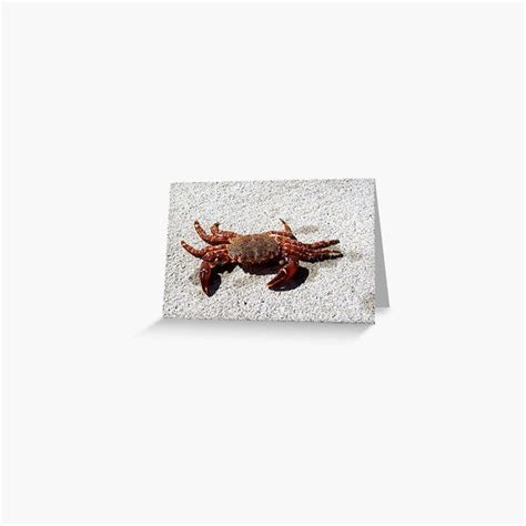 Red Crab Beach Photograph