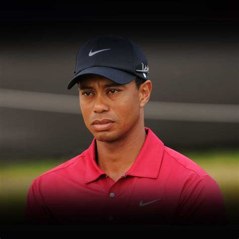 Tiger Wood Color