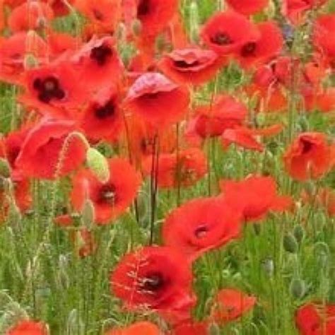 Debbie Smallman Posted On Linkedin