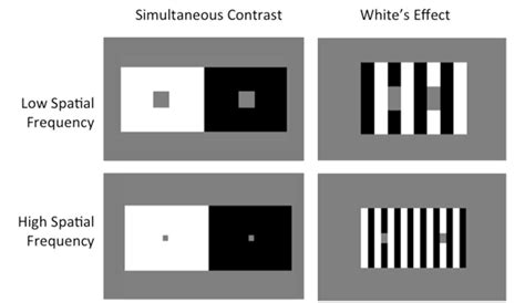 Figure 1 From An Exponential Filter Model Predicts Lightness Illusions