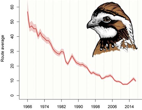 Quantitative Ecology In Practice Estimating Bird Density Using Sparse