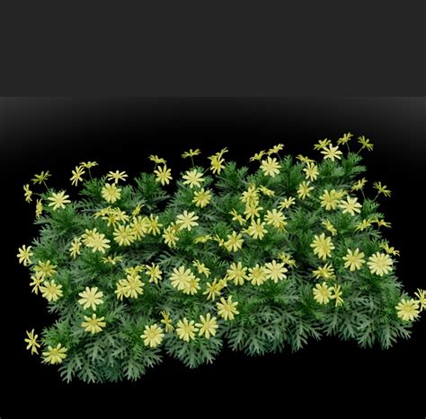 Ornamental Greenery Model With Small Yellow Flowers Model Turbosquid 2379266